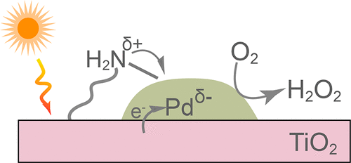 Publications – Lightcatalysis